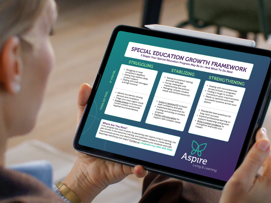 Special Education Framework